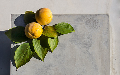 LOVECEMENT enjoy your garden